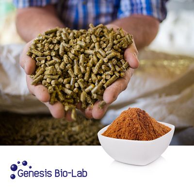 Bulk New Zealand Bovine Liver Powder | Ingredients Online