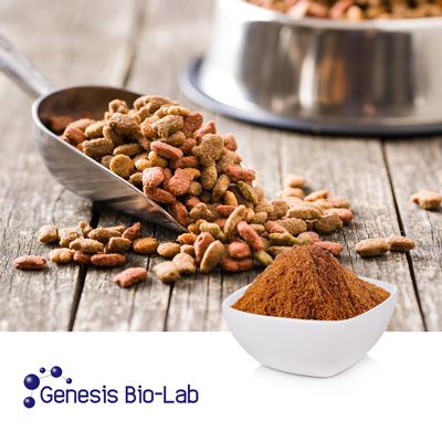 Bulk New Zealand Bovine Lung Powder | Ingredients Online