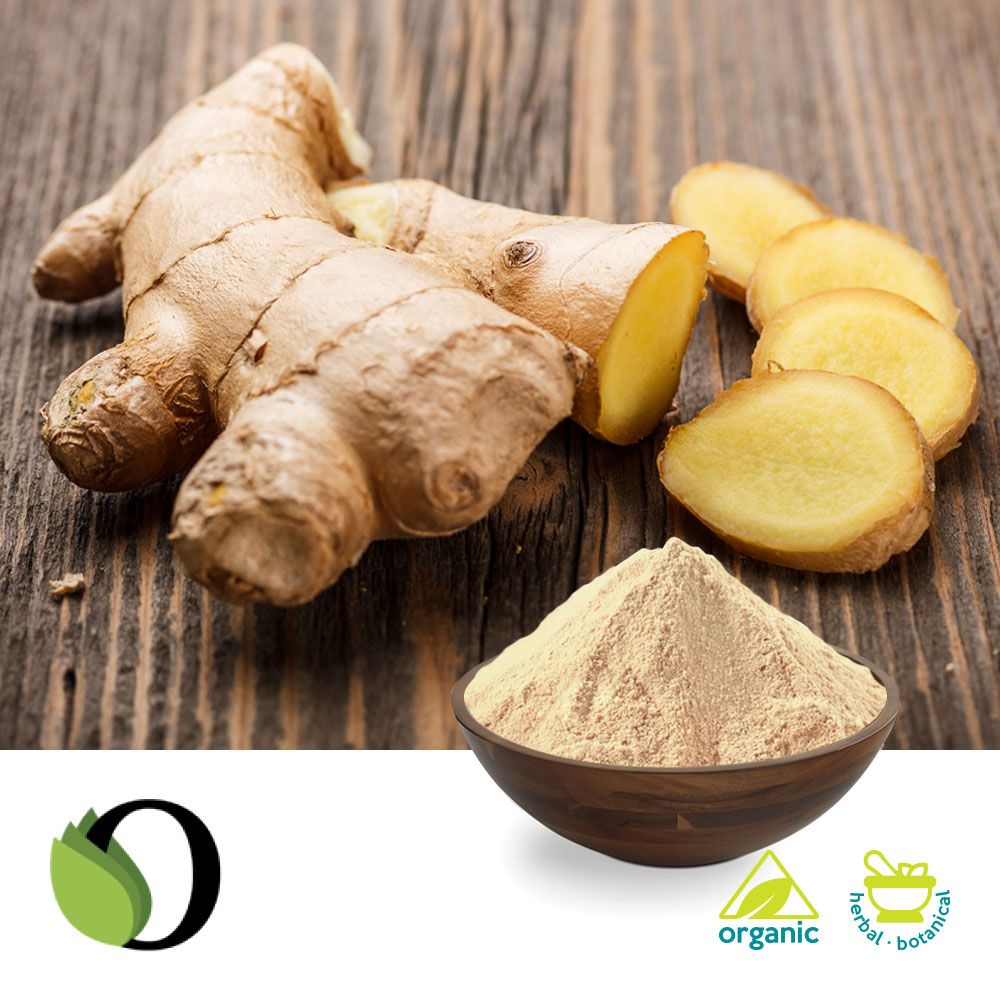 Bulk Organic Zingiber officinale powder | Ingredients Online