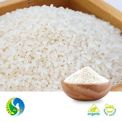 Bulk Rice Protein 80% 300 Mesh (Organic) | Ingredients Online