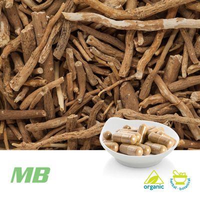 Bulk Organic Ashwagandha Extract Capsules | Ingredients Online