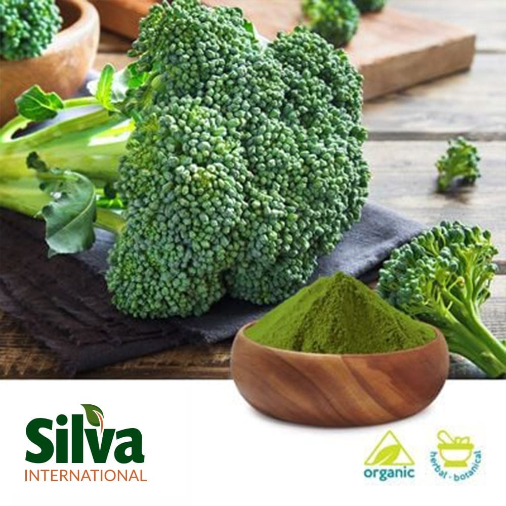 Bulk Organic Broccoli Powder 60 Mesh | Ingredients Online