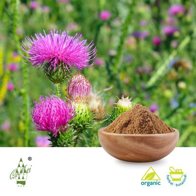 Bulk Organic Milk Thistle Powder (BRC Certified Factory) | Ingredients ...