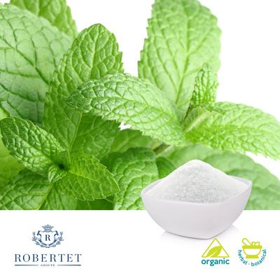 Bulk Organic Peppermint Leaf Essential Oil Powder | Ingredients Online