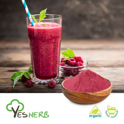 Bulk Organic Raspberry Juice Powder | Ingredients Online