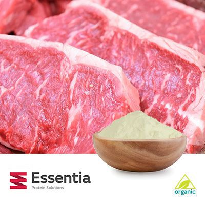 Bulk Organic Spray-Dried Natural Beef Broth | Ingredients Online