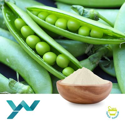 Buy Bulk Pea Protein Isolate YW800A | Ingredients Online