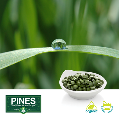 Bulk Organic Barley Grass Tablets (500mg) | Ingredients Online