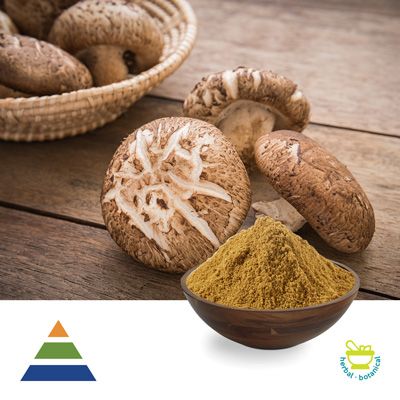 Bulk Shiitake Mushroom Extr. PS 30% | Ingredients Online