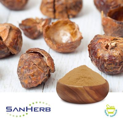 Buy Bulk Soapnut Extract 70% Saponin | Ingredients Online