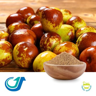 Bulk Spiny Jujube Kernel 20:1 Full-Spectrum Extract | Ingredients Online