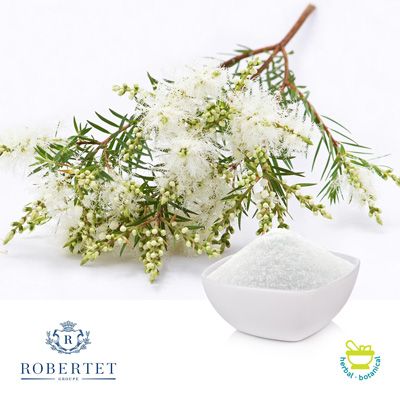 Buy Bulk Tea Tree Essential Oil Powder | Ingredients Online
