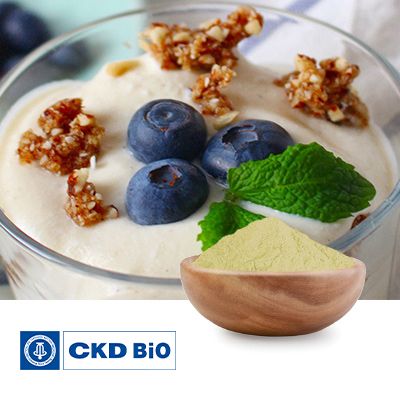 Bulk Limosilactobacillus reuteri CKDB019 | Ingredients Online