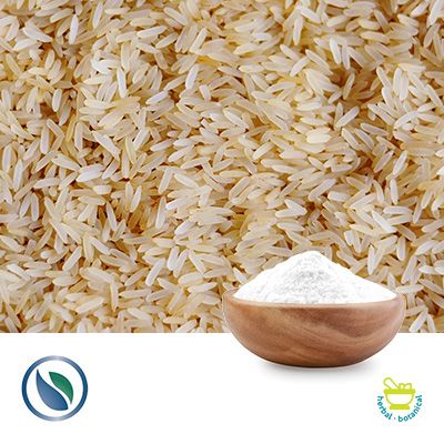 Buy Wholesale Long Grain White Fine Rice Flour (80291-LM) | Ingredients ...