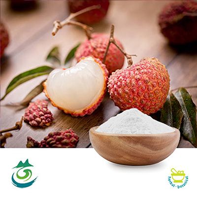 Buy Bulk Lychee Powder | Ingredients Online