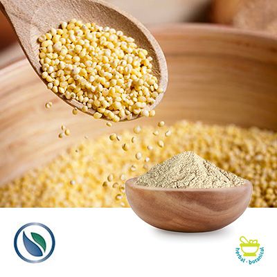 Wholesale Millet Fine Flour | Ingredients Online