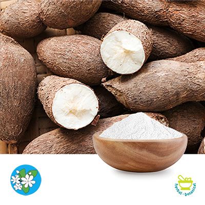 Buy Bulk Native Tapioca Starch | Ingredients Online