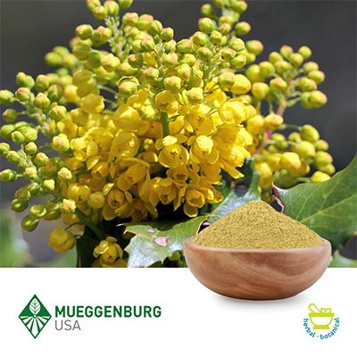 Buy Bulk Oregon Grape Root Powder | Ingredients Online