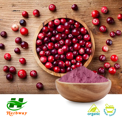 Buy Bulk Organic Cranberry Juice Powder | Ingredients Online