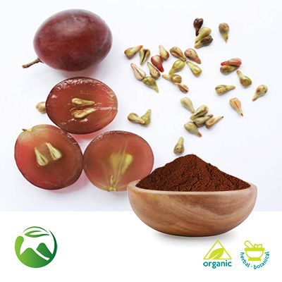 Bulk Organic Grape Seed Extract 95% Proanthocyanidins | Ingredients Online