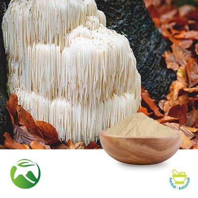 Bulk Organic Lion's Mane Mushroom Powder | Ingredients Online
