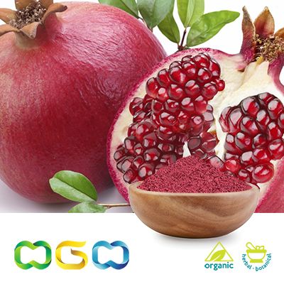 Bulk Organic Pomegranate Extract Powder 4:1 | Ingredients Online
