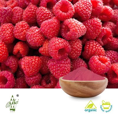 Bulk Organic Raspberry Juice Powder | Ingredients Online