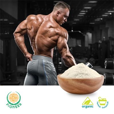 Bulk Organic Rice Maltodextrin DE 10-12 | Ingredients Online