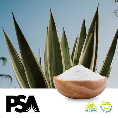 Bulk Organic Salmiana Agave Inulin Powder | Ingredients Online