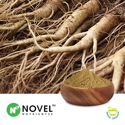 Bulk Panax Ginseng Extract 6% Total Ginsenosides | Ingredients Online