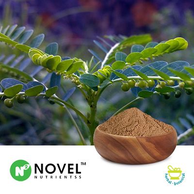 Bulk Phyllanthus Niruri Extract 3% Bitter principles | Ingredients Online