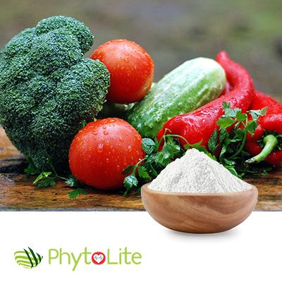Bulk Phytosterols 95 SF Granules (SF-P95 G) | Ingredients Online