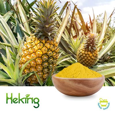 Buy Bulk Pineapple Juice Powder | Ingredients Online