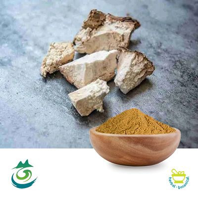 Bulk Poria Cocos Extract 10:1 powder | Ingredients Online