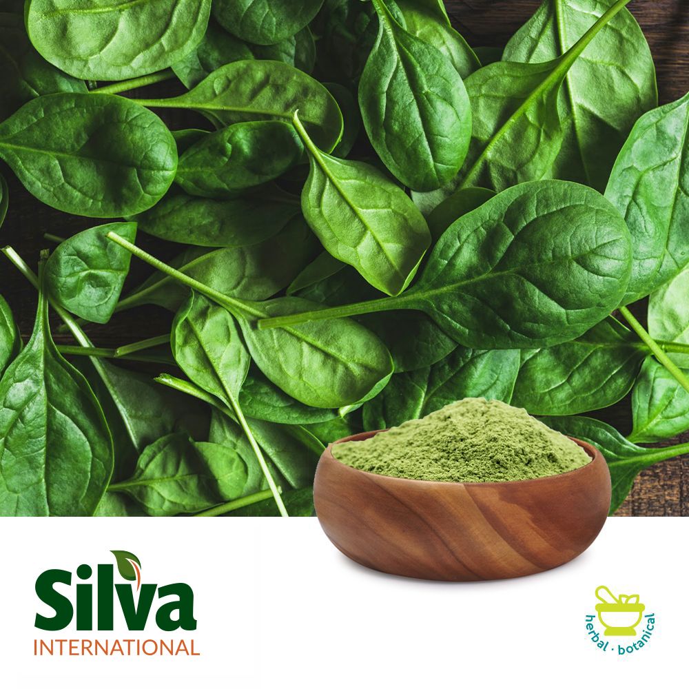 Bulk Spinach Powder | Silva Int'l | Ingredients Online