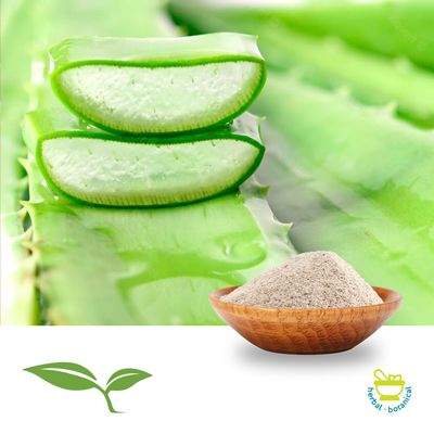 Buy Bulk Aloe Vera Leaf Powder | Ingredients Online