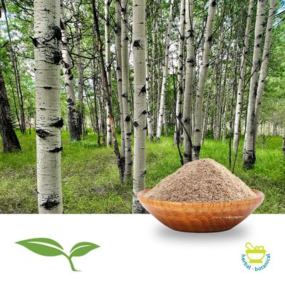 Buy Bulk Aspen Bark Powder | Ingredients Online