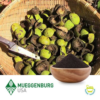 Buy Bulk Black Walnut Hull Powder | Ingredients Online