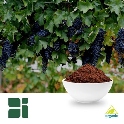 Buy Bulk Organic Grape Seed Powder | Ingredients Online
