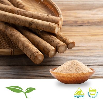 Buy Bulk Burdock Root Powder (Organic) | Ingredients Online