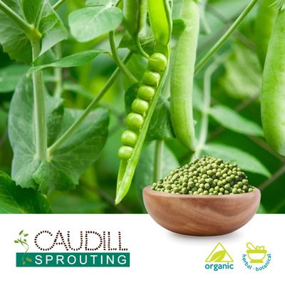 Buy Bulk Organic Green Pea Seeds | Ingredients Online