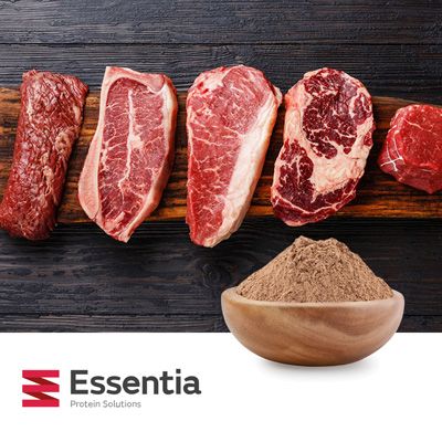 Bulk Spray-Dried Hydrolyzed Beef Stock | Ingredients Online