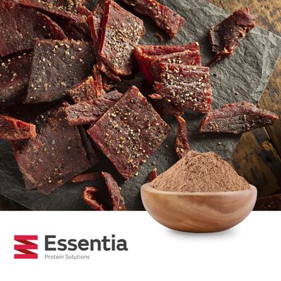 Bulk Spray-Dried Natural Beef Extract | Ingredients Online