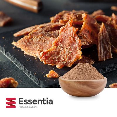 Bulk Spray-Dried Natural Beef Stock Powder | Ingredients Online