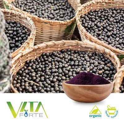 Bulk Freeze Dried Acai Organic Powder 20 Mesh | Ingredients Online