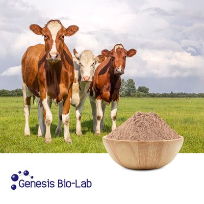 Bulk New Zealand Bovine FRT | Genesis | Ingredients Online