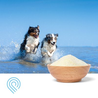 Bulk Genu-in Feed - Agglomerated Collagen Peptide Powder | Ingredients ...