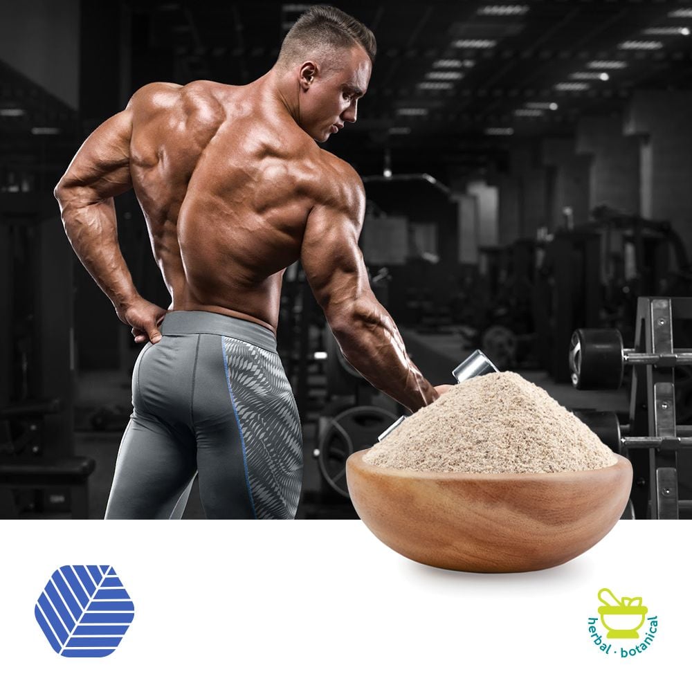Bulk Hyperox™(Fenugreek Extract Powder) | Ingredients Online