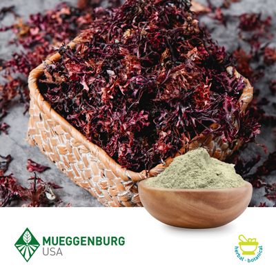 Buy Bulk Irish Moss Powder | Ingredients Online