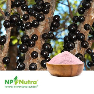 Bulk JabuVital ® (Jabuticaba Juice Powder) | Ingredients Online